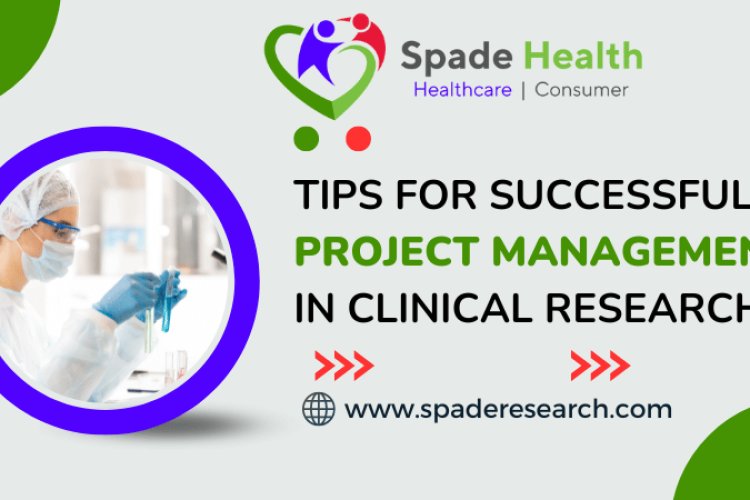 Tips for successful project management - PRSHINE