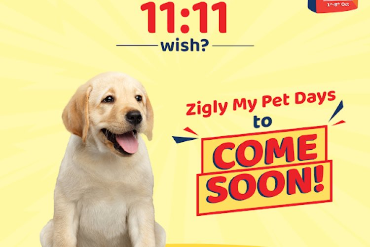 Get Ready To Give Your Four-Legged Companions The Best Of Everything ...
